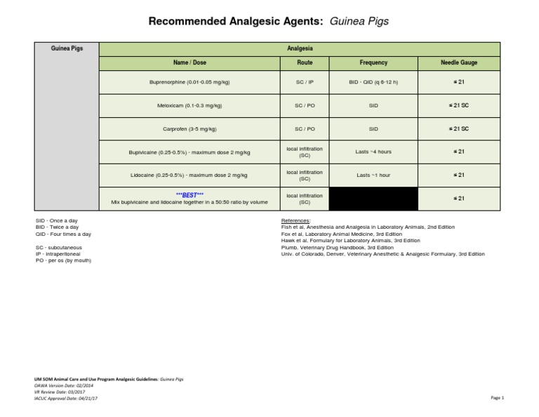 Guinea Pigs PDF | PDF | Analgesic | Pain
