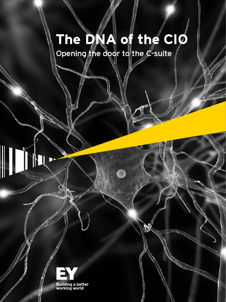 Ey The Dna of The Cio 1 | Download Free PDF | Chief Information Officer ...