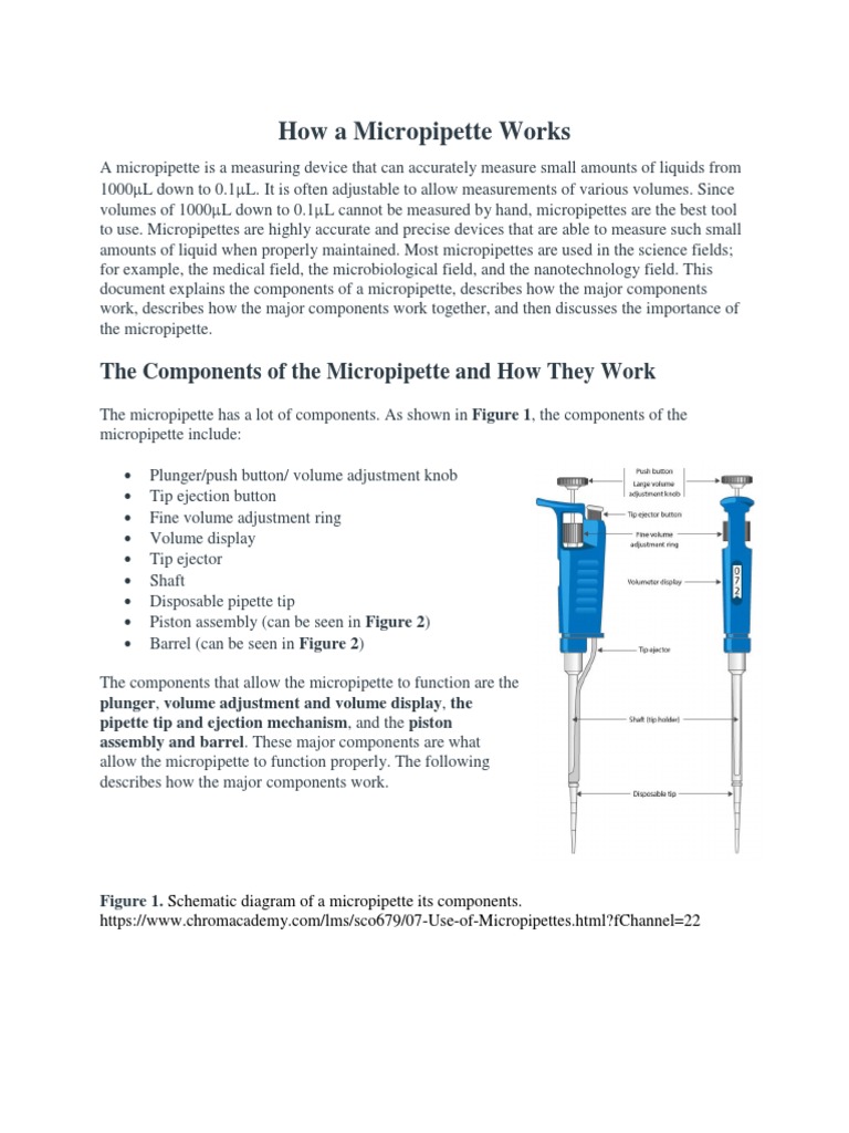 How A Micropipette Works 2 | PDF | Nature