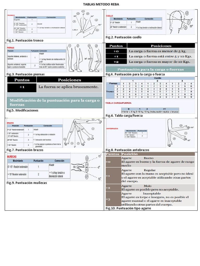 Tablas Metodo Reba | PDF