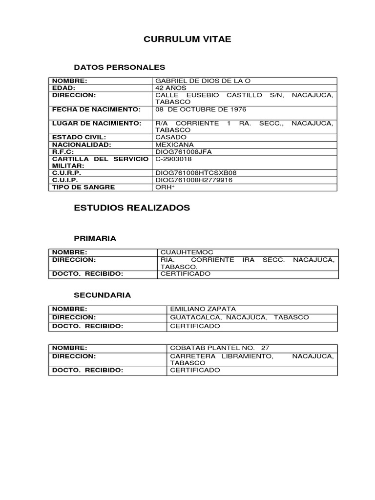 Currulum Vitae | PDF
