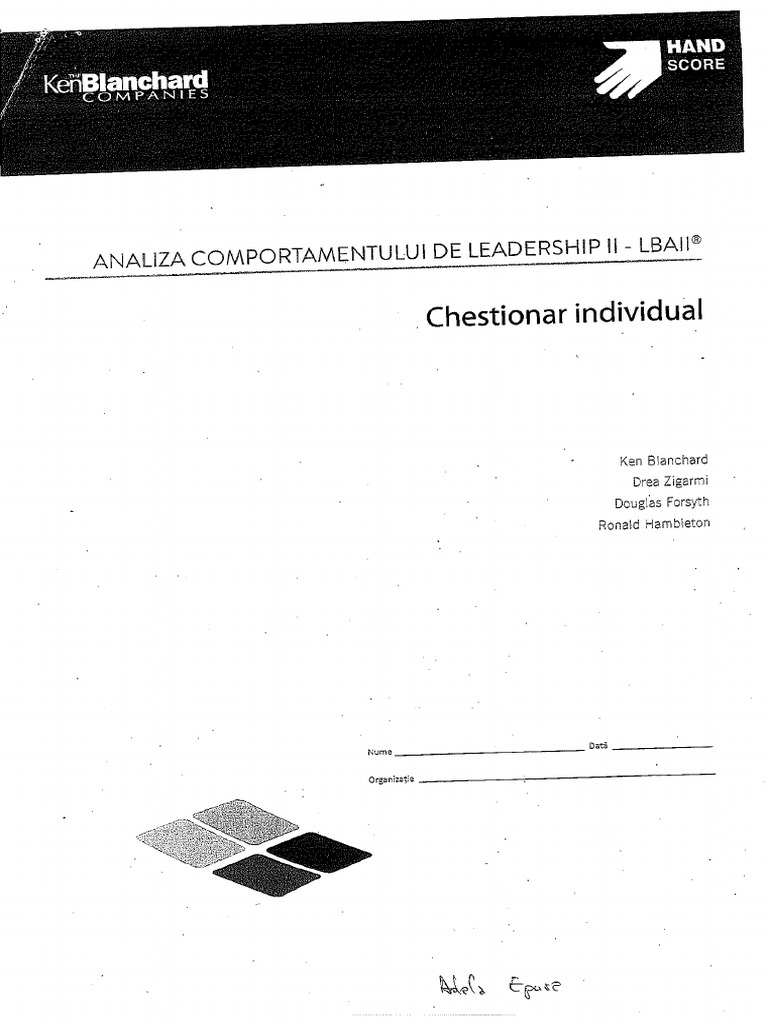 Chestionar Leadership 2018 | PDF