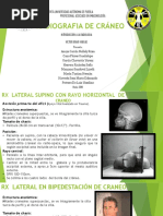 Protocolo Serie Osea o Huesos Largos | PDF | Hueso | Radiología