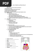 Detailed Lesson Plan of Food Web | PDF | Food Web | Lesson Plan