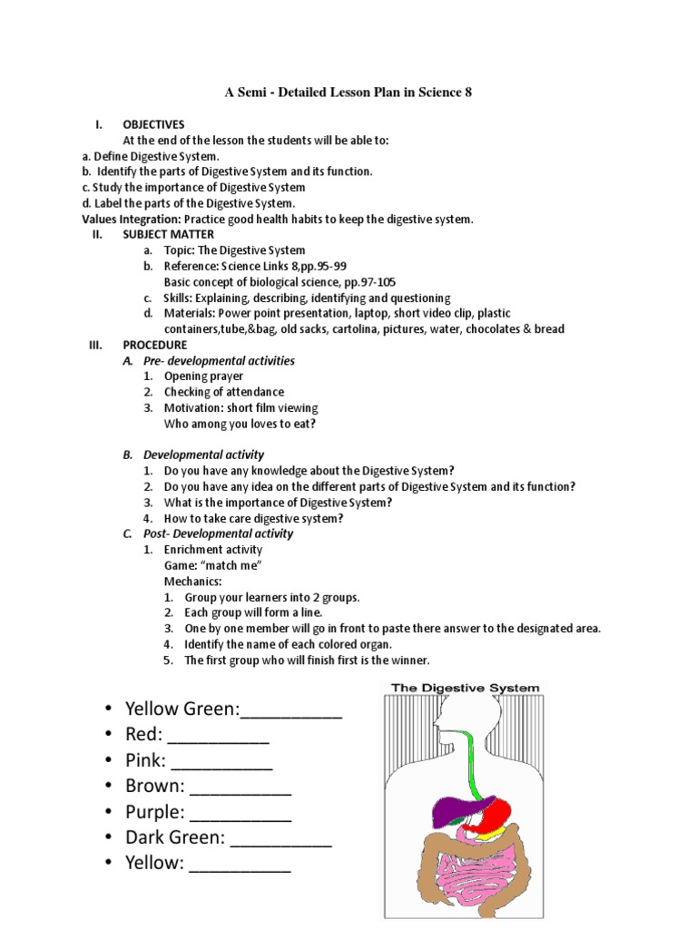 DLP in Science | PDF | Human Digestive System | Gastrointestinal Tract