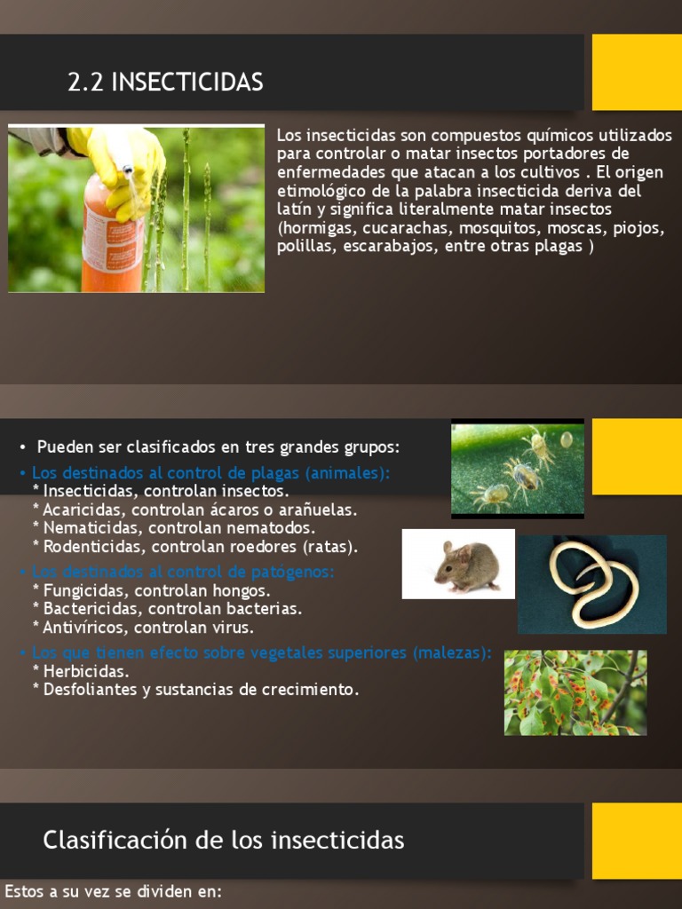 Clasificación y Uso de Insecticidas | PDF | Insecticida | Insectos