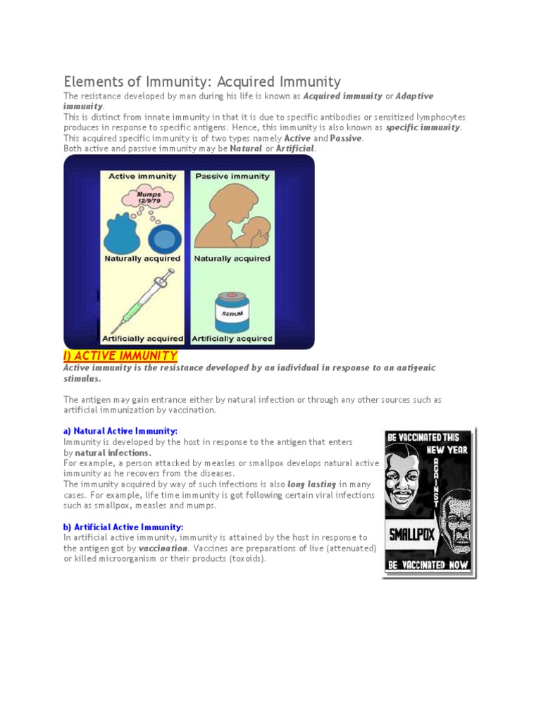 Types of Acquired Immunity Explained | PDF | Immunity (Medical ...