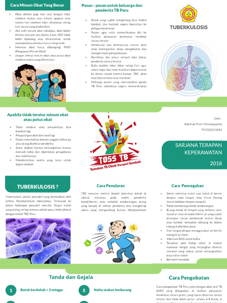 Leaflet TB | PDF