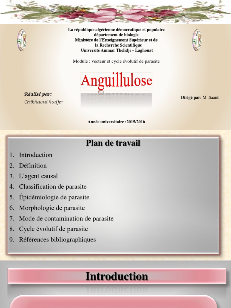 Anguillulose : Transmission et Cycle Évolutif | PDF | Larve | Nematoda