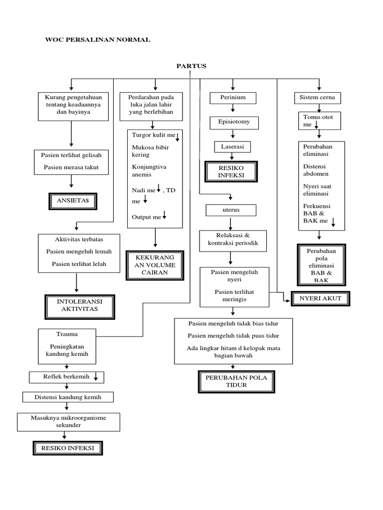 2 Woc Persalinan Normal | PDF