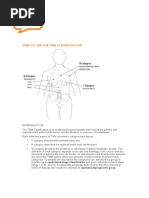 Stomach Cancer TNM Staging Guide | PDF | Stomach | Causes Of Death