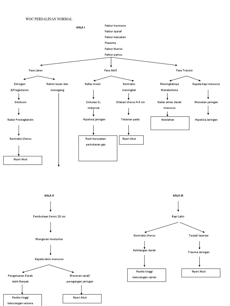 Woc Persalinan Normal | PDF