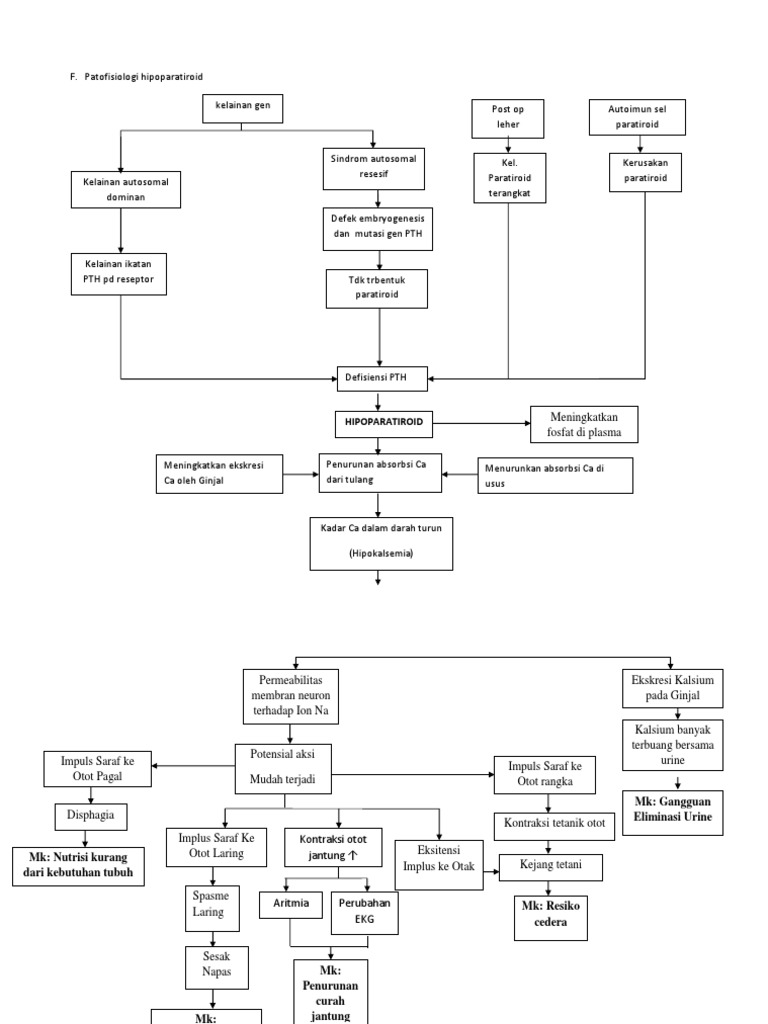 Patofis Hipoparatiroid | PDF