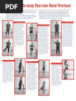 Upper Body Thera Band Exercise Program - Basic | PDF | Elbow | Arm