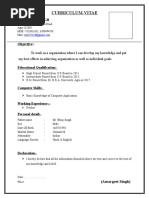 Matrimonial Resume CV | PDF | Lifestyle