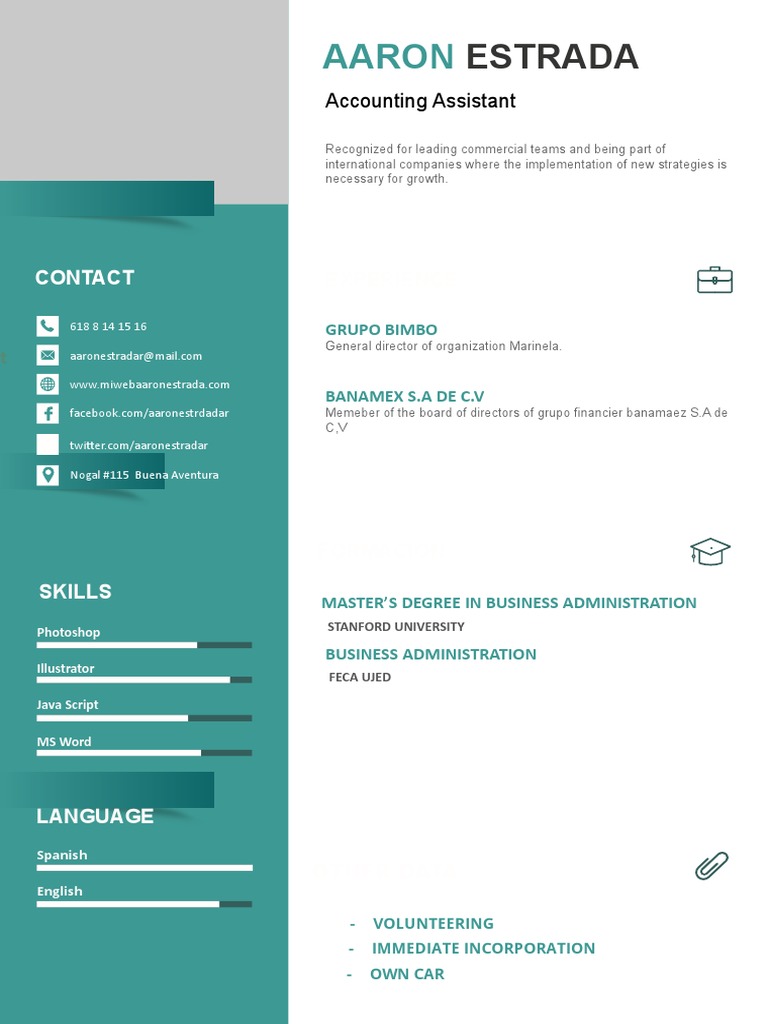 CV Aaron Estrda | PDF