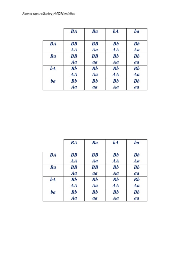 BA Ba Ba Ba BA BB AA BB Aa BB AA BB Aa Ba BB Aa BB Aa BB Aa BB Aa Ba BB ...