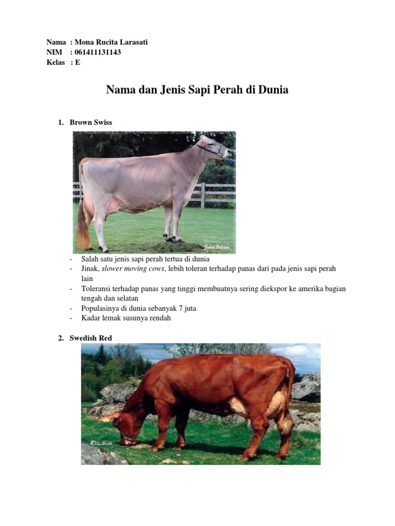 Nama Dan Jenis Sapi Perah Di Dunia | PDF | Kesehatan Holistik