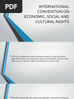 Overview of the ICESCR 1966 | PDF