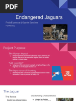 MaxDB DBMCLI Commands | PDF | Areas Of Computer Science | Computer Science