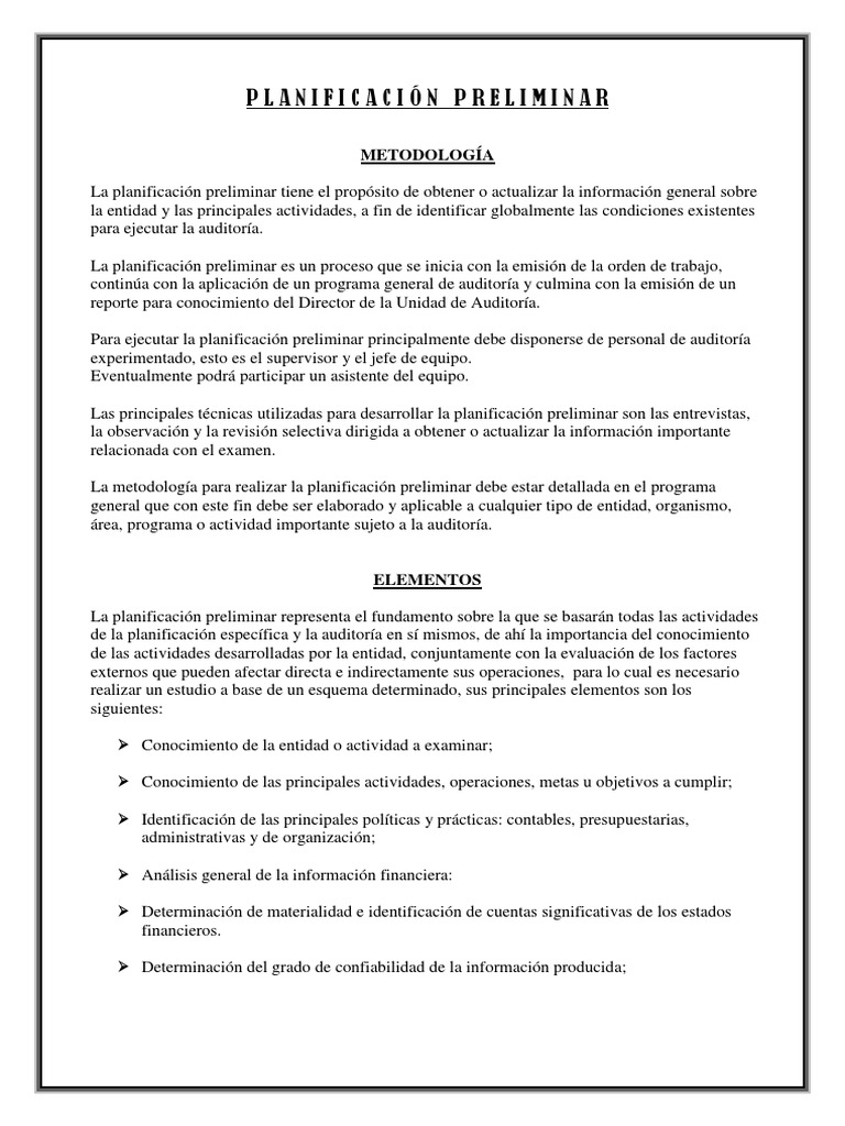 Informe de Planificación Preliminar | Planificación | Auditoría