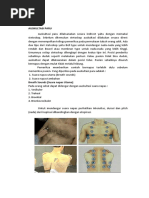 Panduan Suara Napas dan Perkusi | PDF | Seni & Disiplin Bahasa | Kajian Bahasa Asing