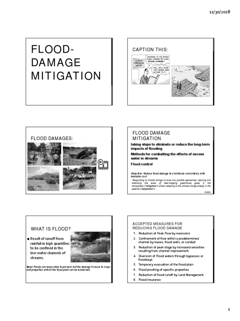 Flood Mitigation Methods | PDF | Floodplain | Flood