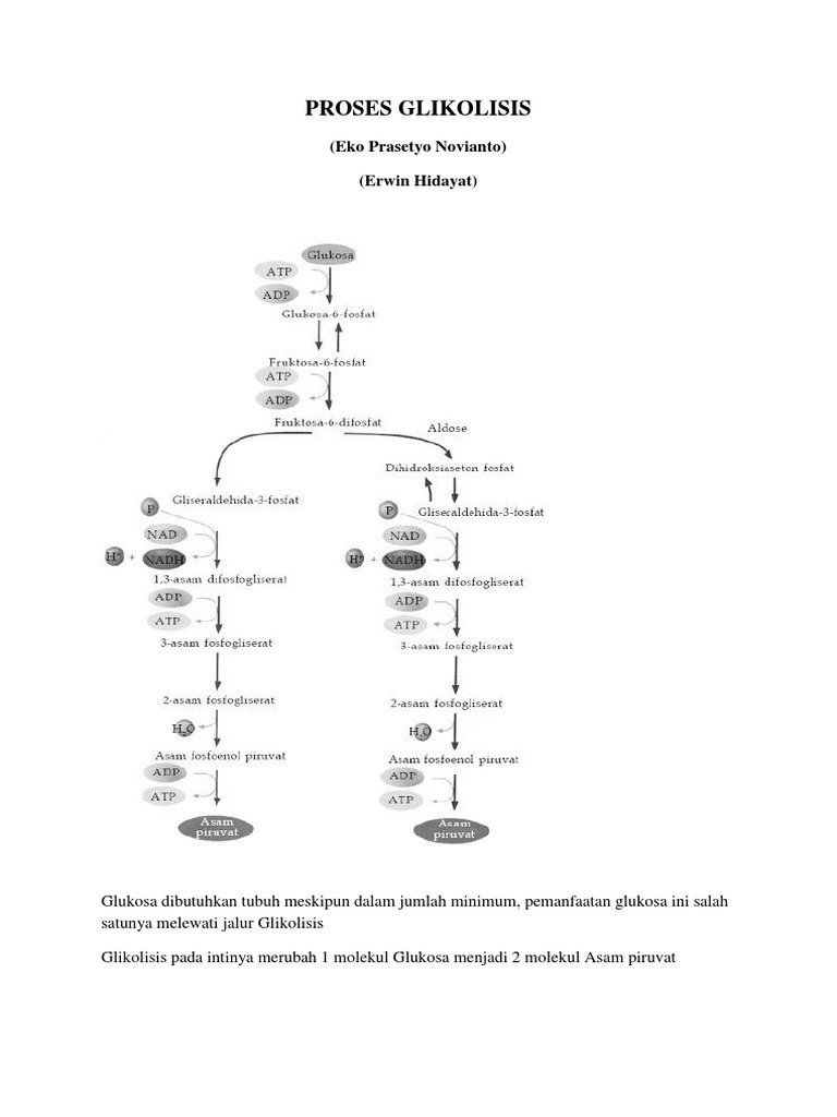 Proses Glikolisis | PDF