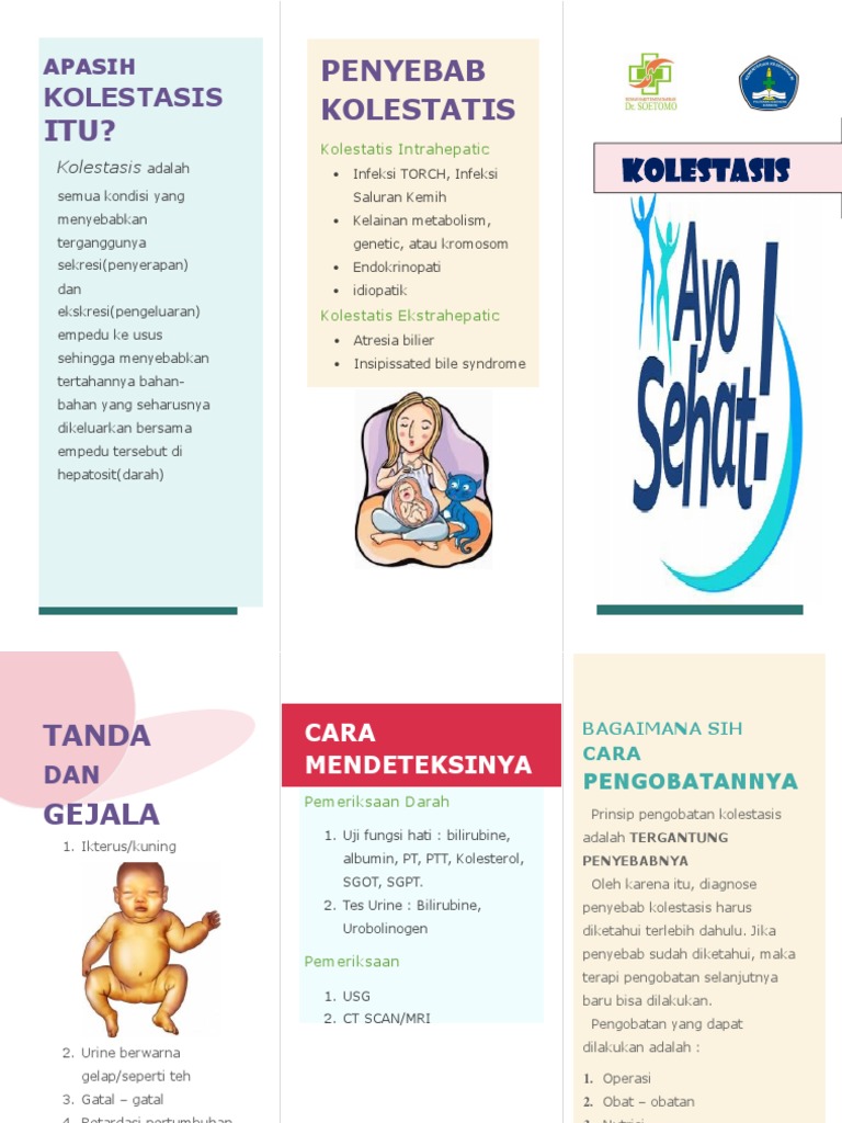 Leaflet ASI 285x215mm | PDF