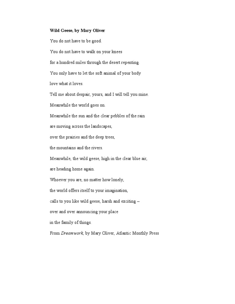 Wild Geese by Mary Oliver Analysis | PDF | Home & Garden