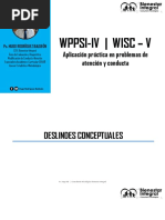 Wipsi | PDF | Inteligencia | Teoría