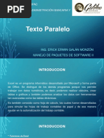 Triptico | PDF | Microsoft Excel | Software