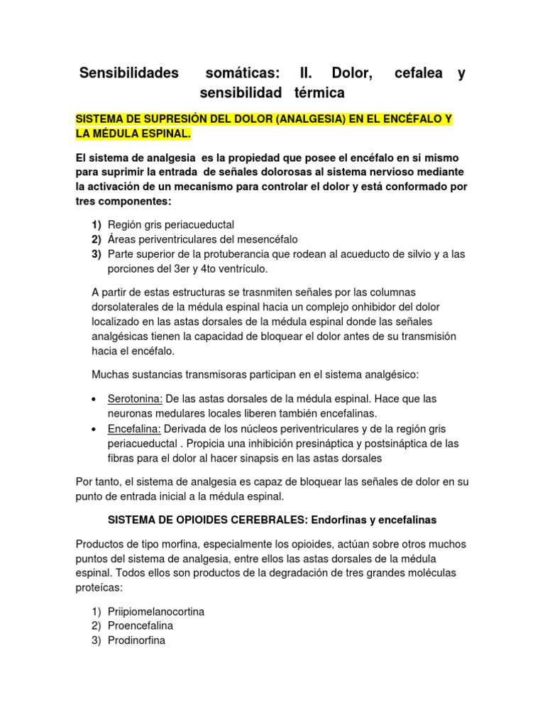 Resumen Dolor, Cefalea y Sensibilidad Térmica | PDF | Dolor | Médula espinal