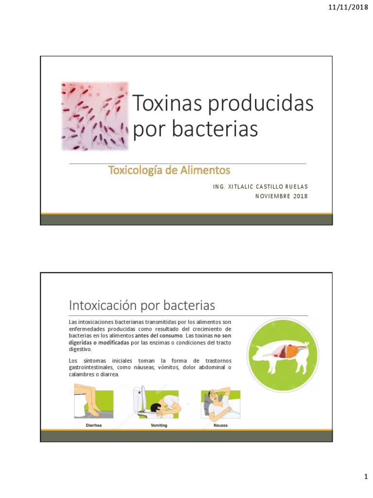 Toxinas Bacterianas y sus Efectos | PDF | Escherichia coli ...