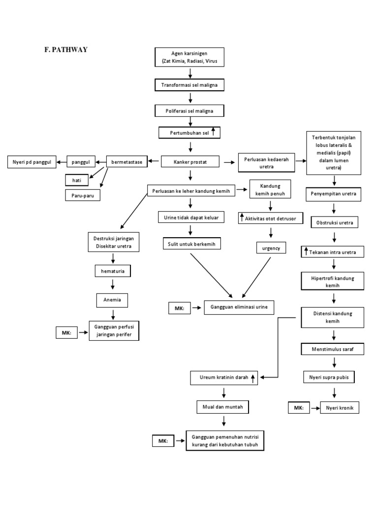 Pathway Ca Prostat | PDF