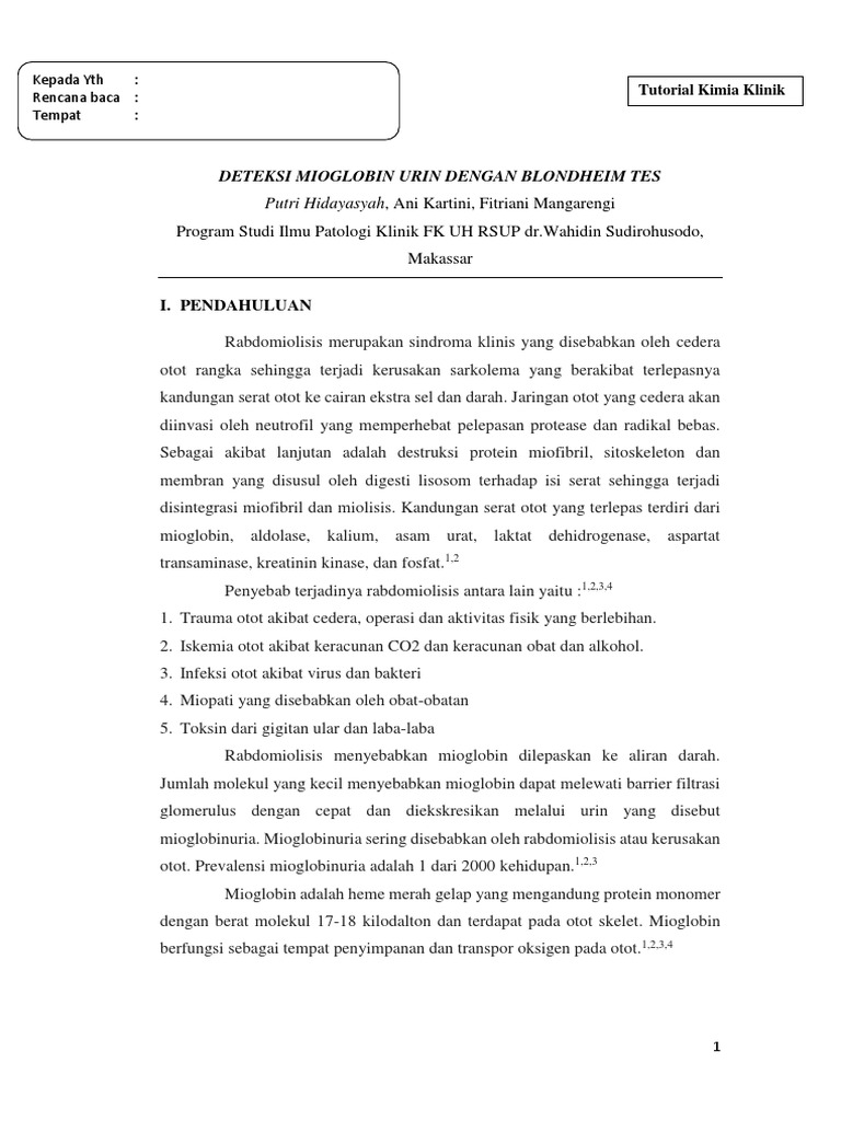 Deteksi Mioglobin Urin Dengan Blondheim Tes | PDF | Pengembangan Diri ...