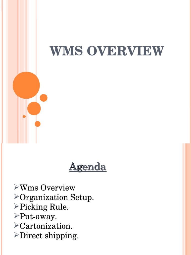 Wms Overview | PDF | Logistics | Warehouse
