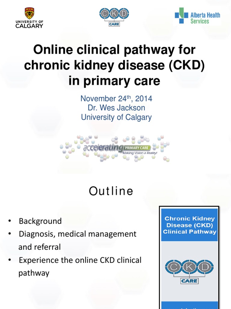 Online Pathway for Chronic Kidney Disease | PDF | Renal Function ...