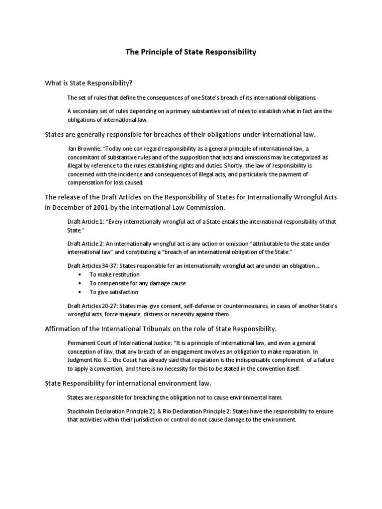 State Responsibility | PDF | International Law | Legal Concepts