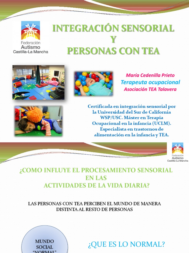 Tea e Integracion Sensorial Final | Cerebro | Percepción