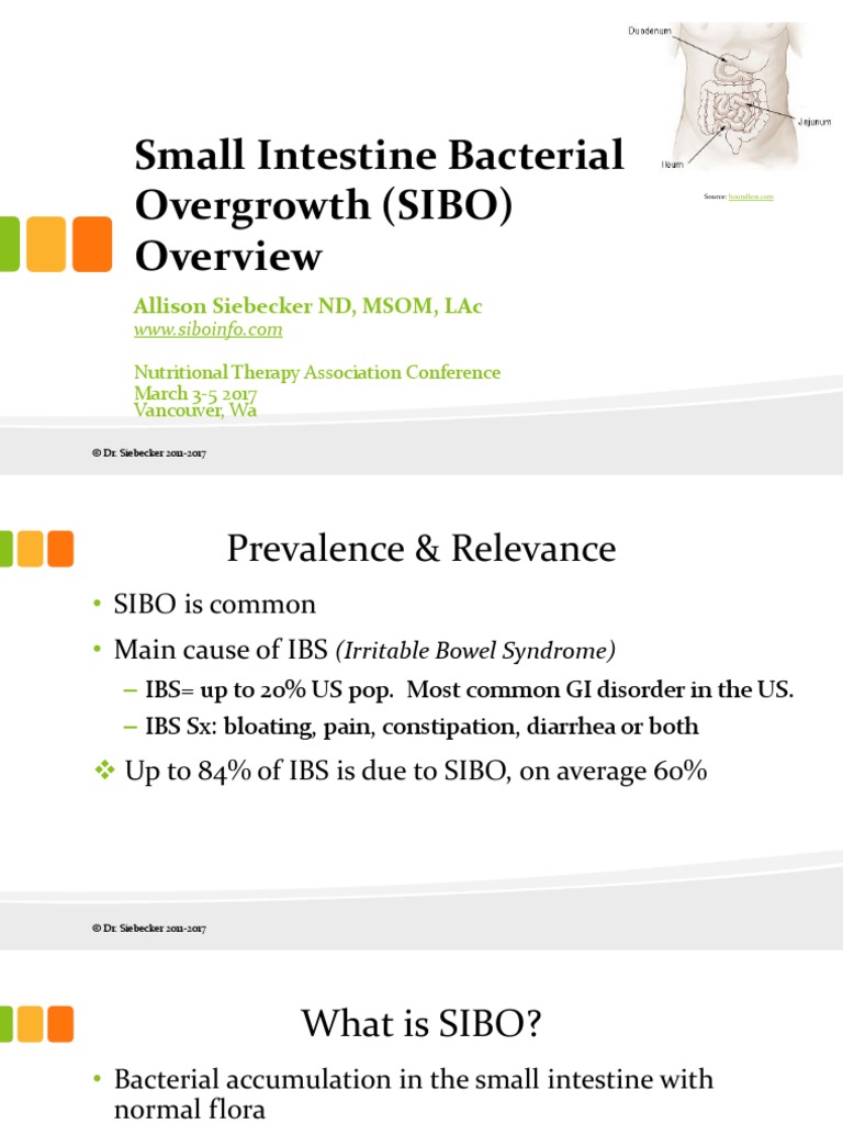SIBO TREATMENT Overview Allison Siebecker | Download Free PDF | Irritable Bowel Syndrome | Bloating