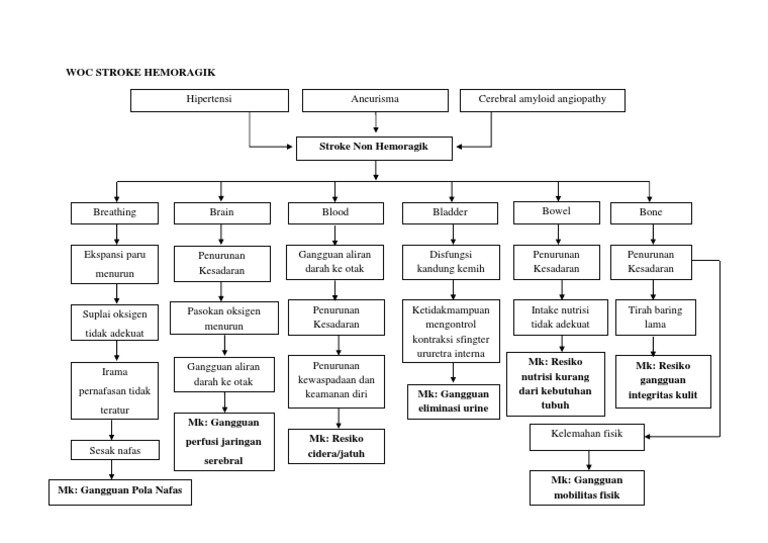 Woc Stroke Hemoragik | PDF