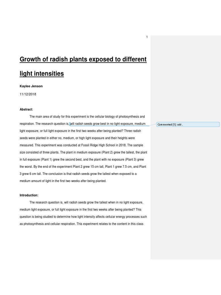 Good Example Research Paper | PDF | Photosynthesis | Plants