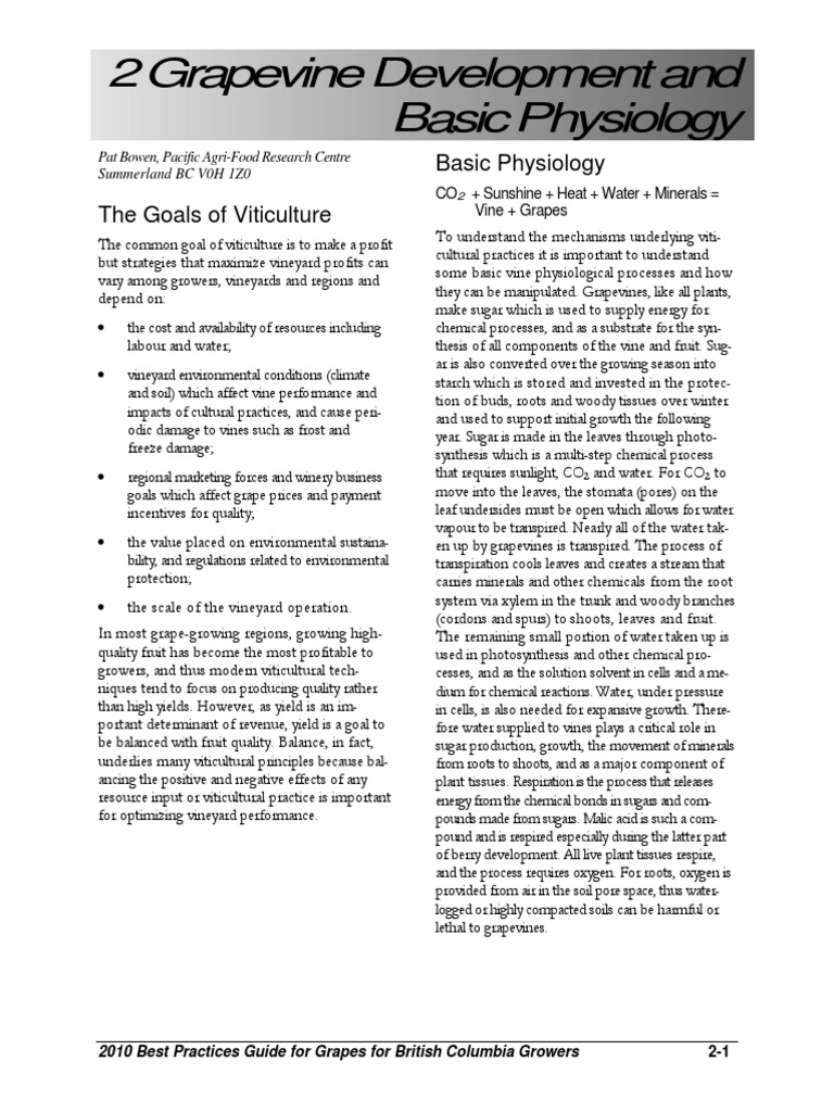 2 Grapevine Development | PDF | Plant Hormone | Vitis