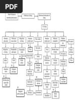 Woc Antepartum Bleeding | PDF