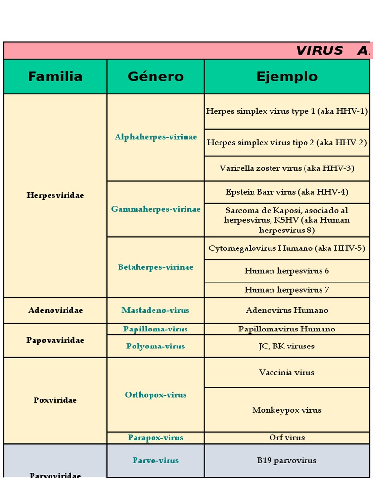 Virus Clasificación | PDF | Virus | Virología Virus Clasificación | PDF | Virus | Virología
