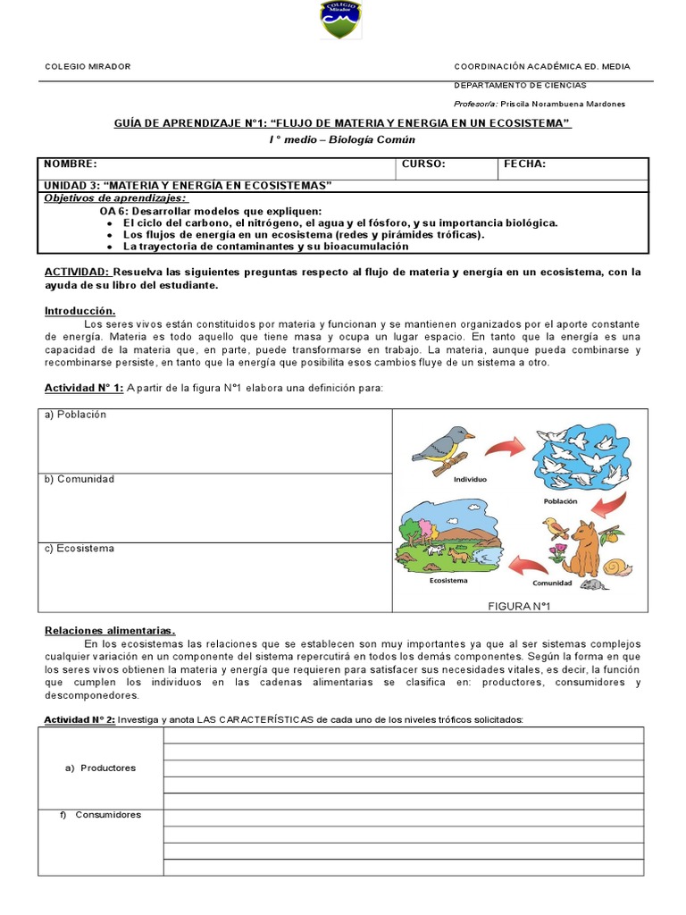 Hoja De Trabajo Sobre El Flujo De Energía En Los Ecosistemas