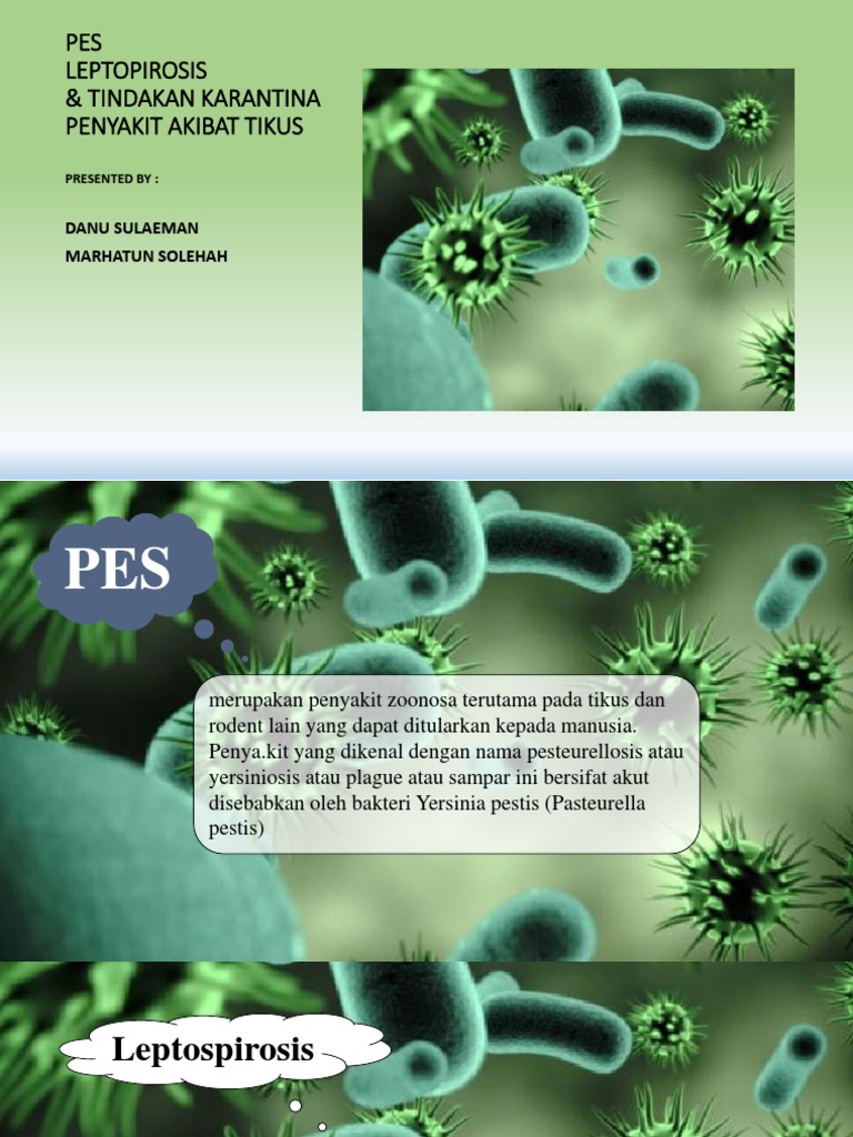 PES | PDF | Ilmu Sosial