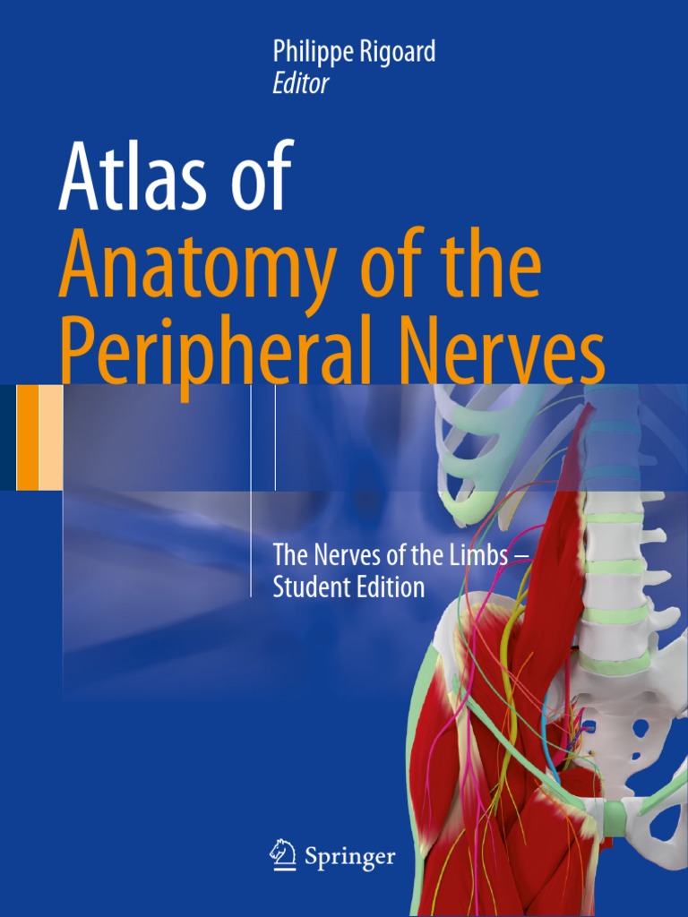 Atlas of Anatomy of the Peripheral Nerves | Anatomy | Nervous System