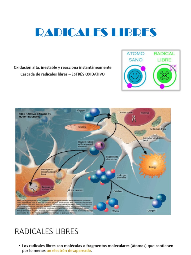 Radicales Libres | PDF | Radical (Química) | Biofísica Molecular